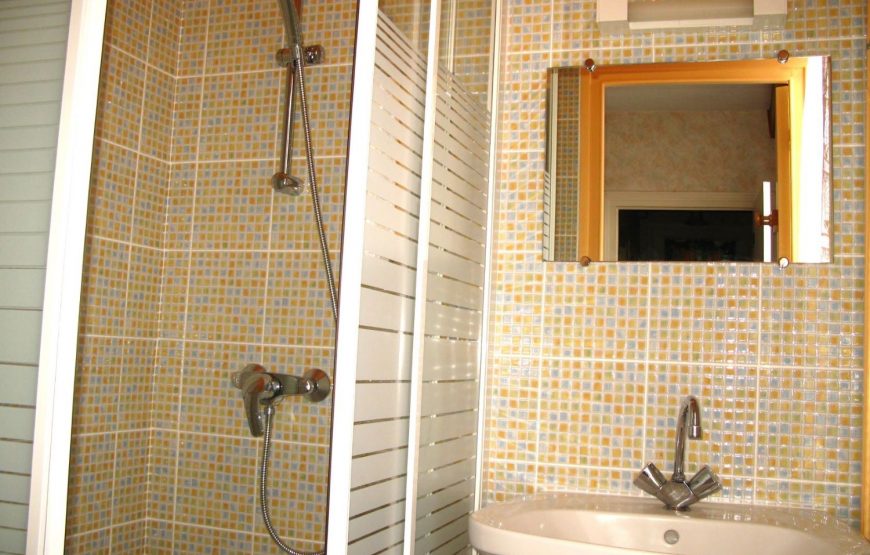 F1 Pel N°4 – F1 à Royat – Association des loueurs de meublés de Royat ...